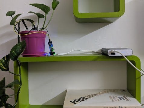 Smart Garden with IoT Plant Monitoring System